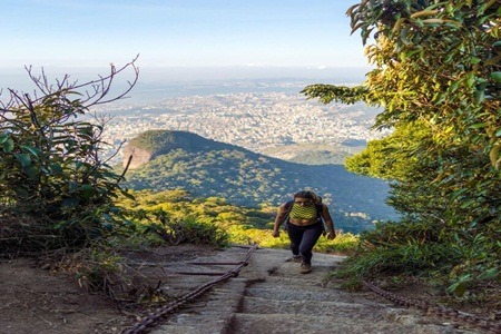 MIRIAM TURISMO RJ » Trilha Do Pico da Tijuca %MIRIAM TURISMO RJ